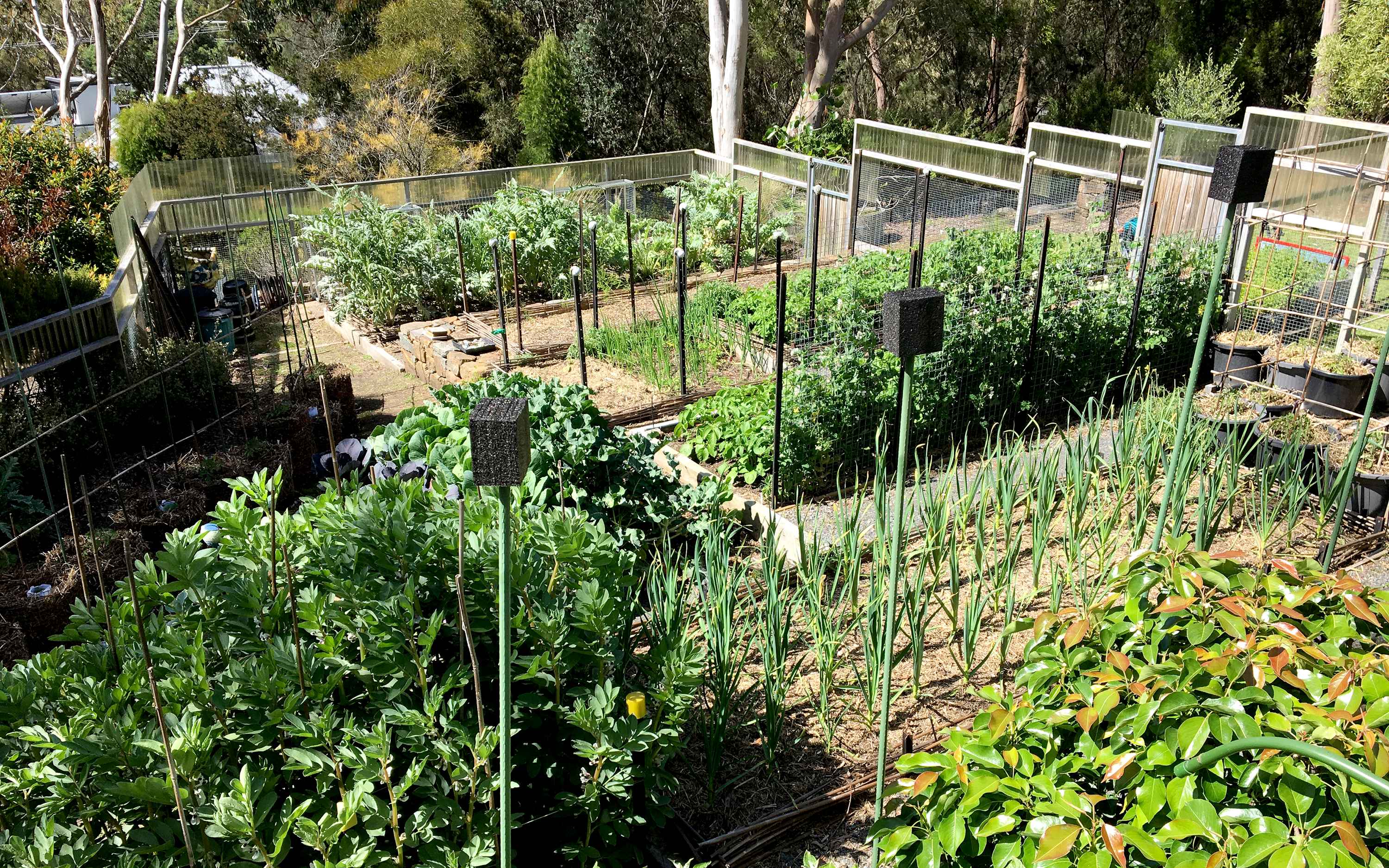 Food Garden – Green living at The Box | OUTSIDE THE BOX / Earth Arts Rights