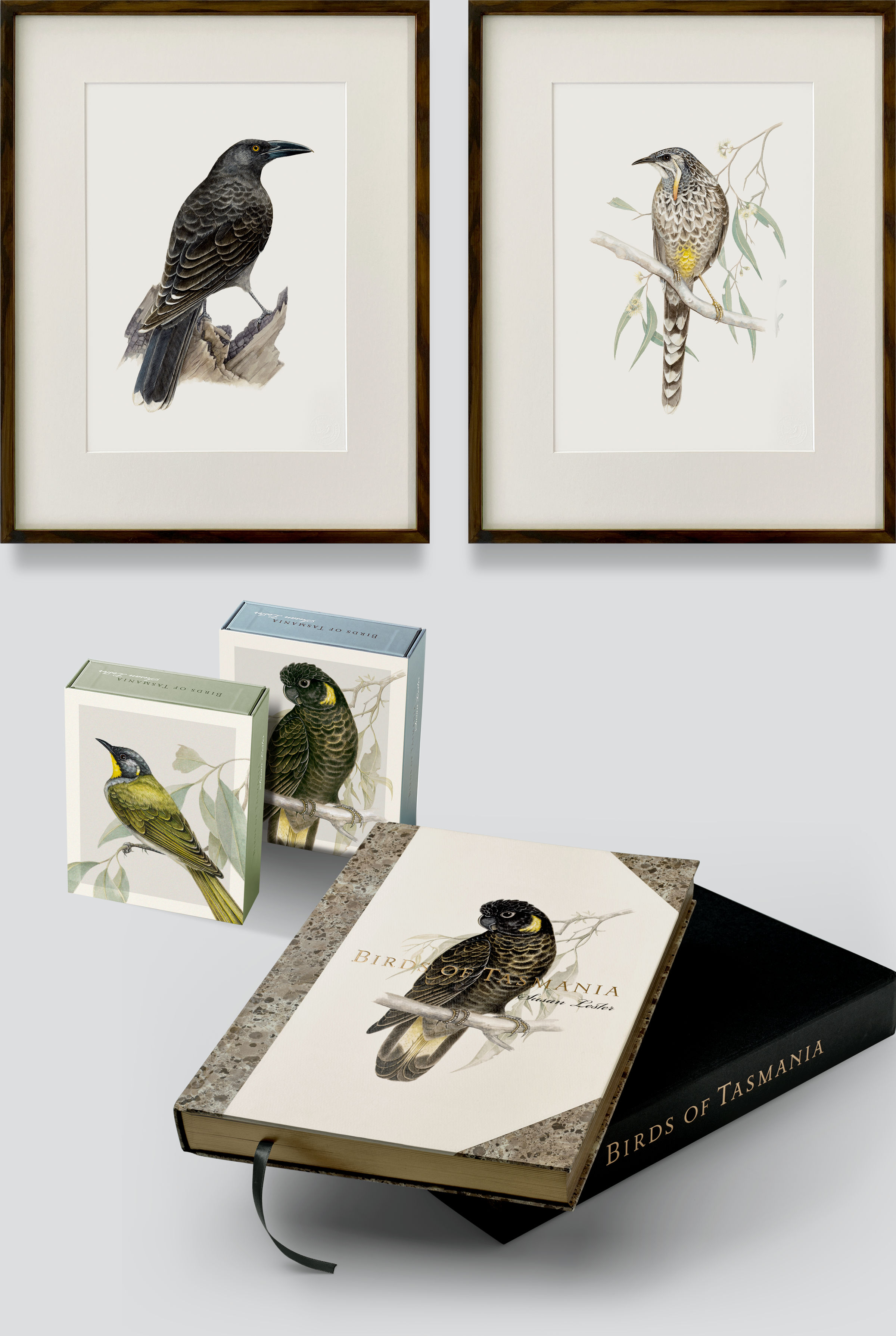 Birds of Tasmania / Susan Lester | Projects | OUTSIDE THE BOX / Earth ...