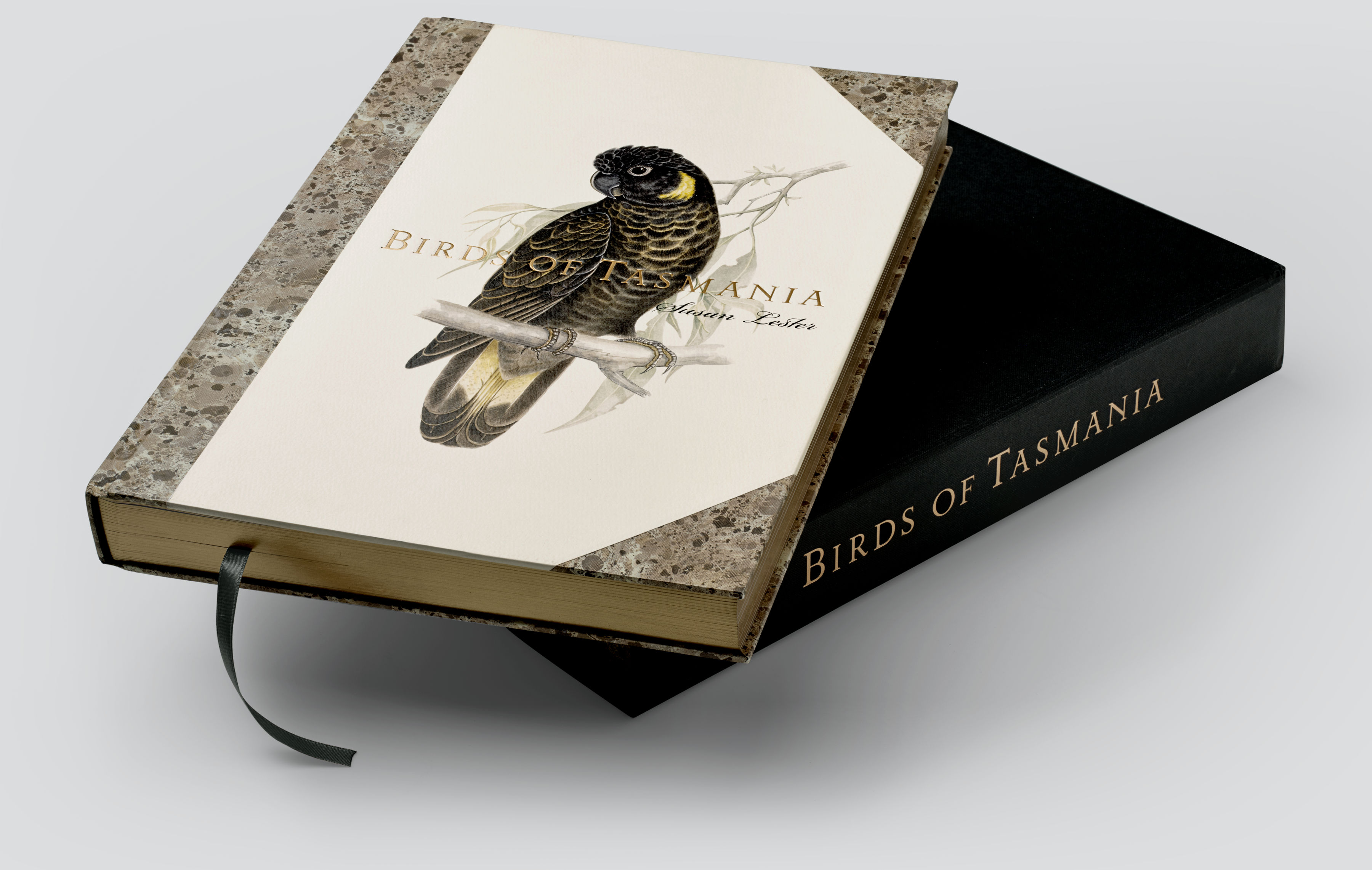 Birds of Tasmania / Susan Lester | Projects | OUTSIDE THE BOX / Earth ...