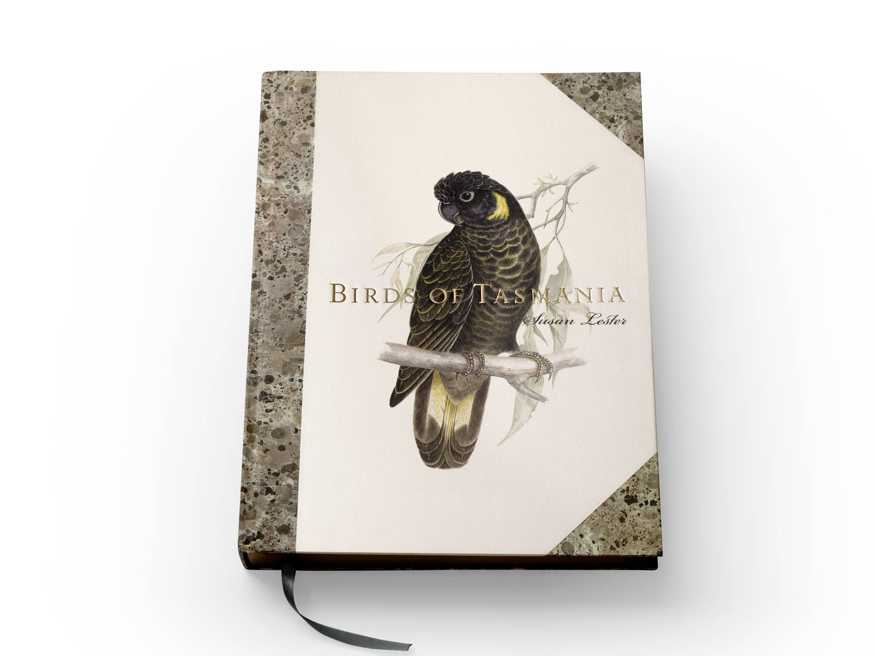 Shop | OUTSIDE THE BOX / Earth Arts Rights