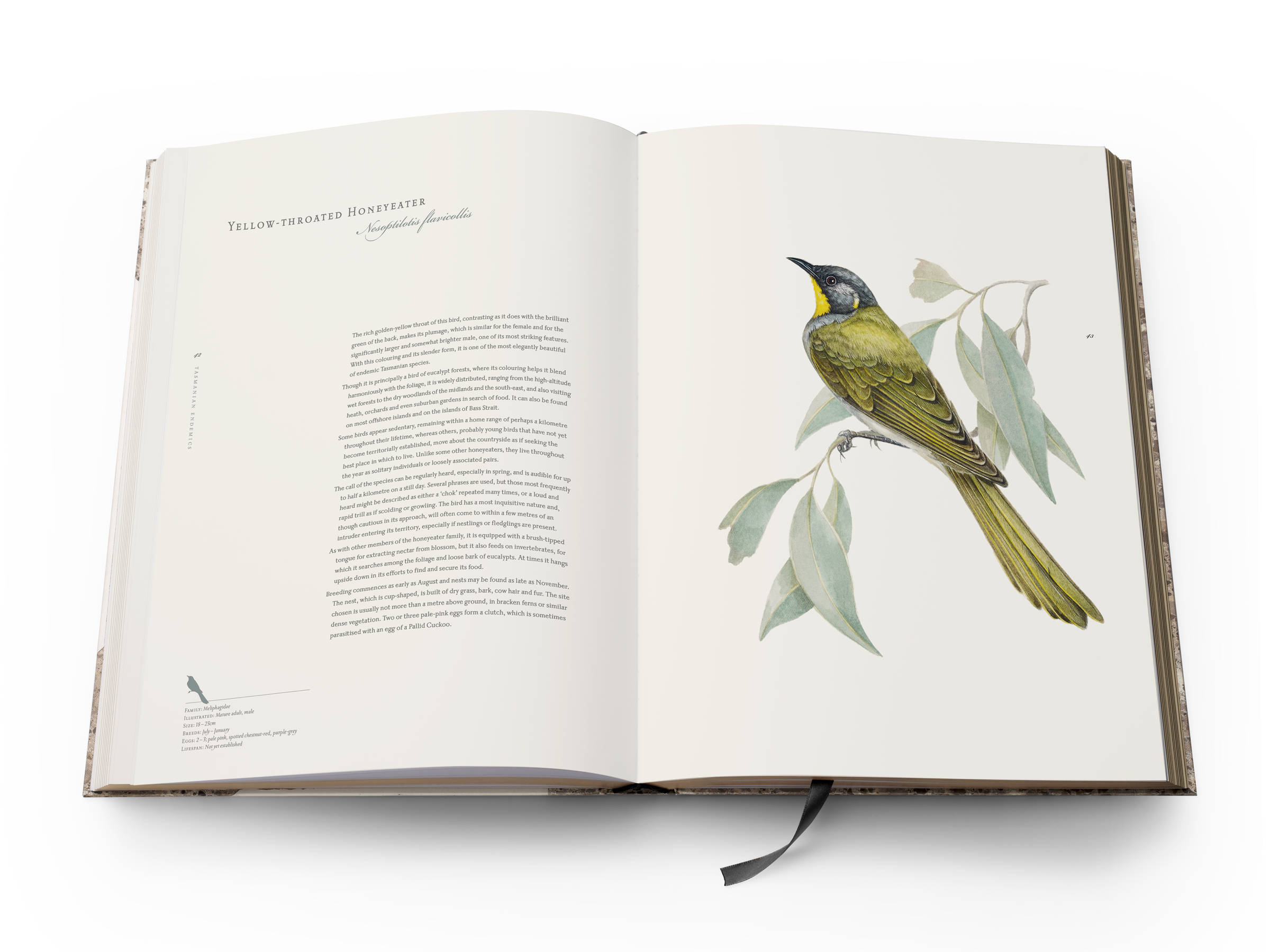 Shop | OUTSIDE THE BOX / Earth Arts Rights