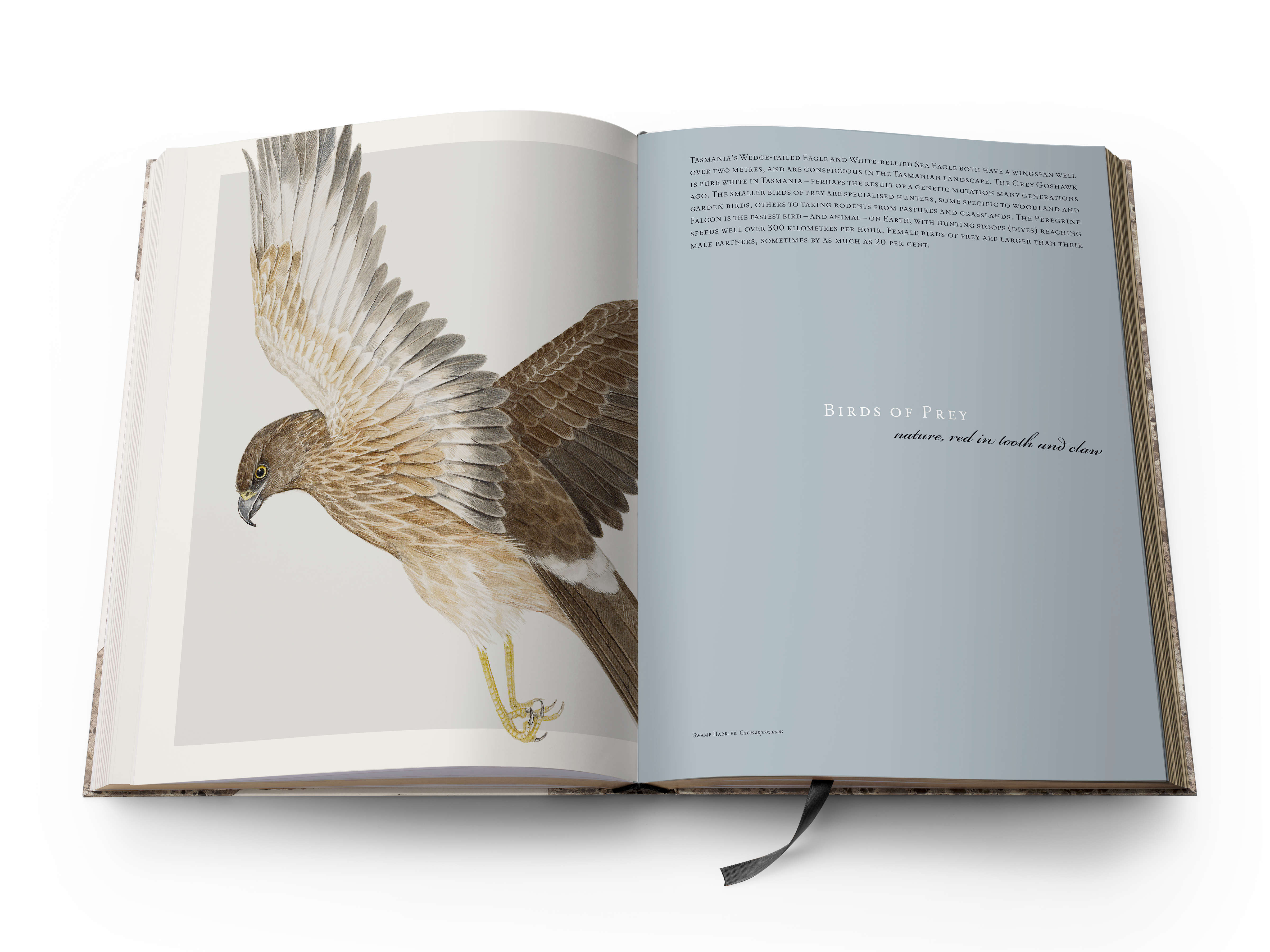 Shop | OUTSIDE THE BOX / Earth Arts Rights