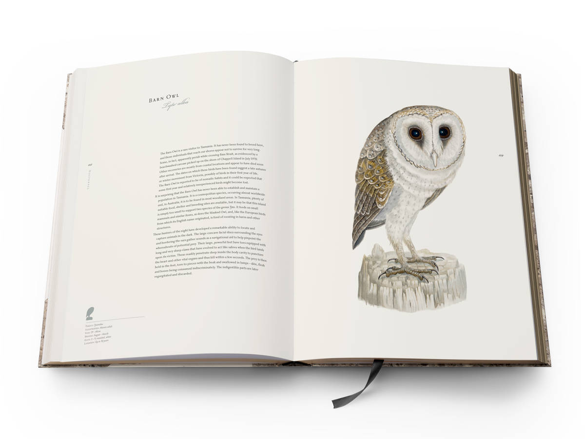 Shop | OUTSIDE THE BOX / Earth Arts Rights
